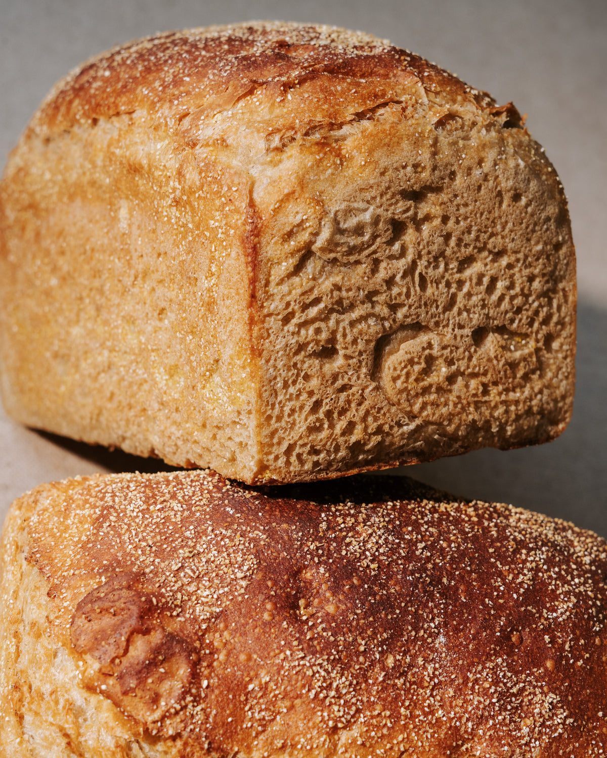 Country Tin Loaf | To be Frank