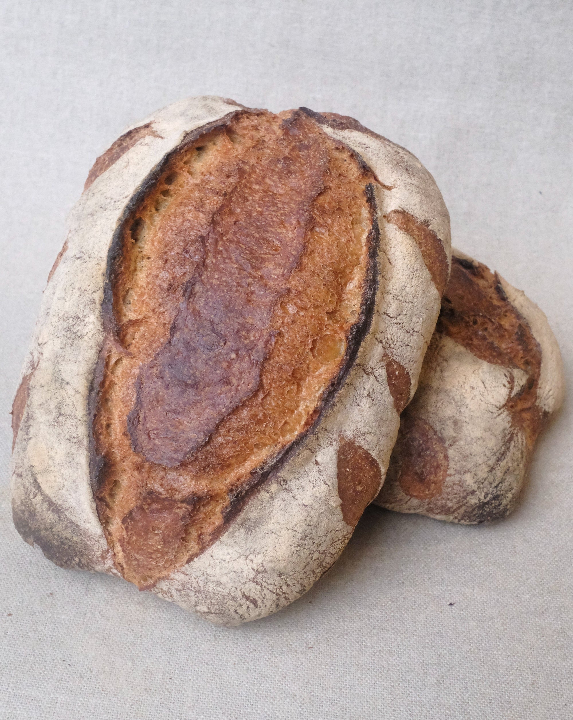 To be Frank essentials | To be Frank